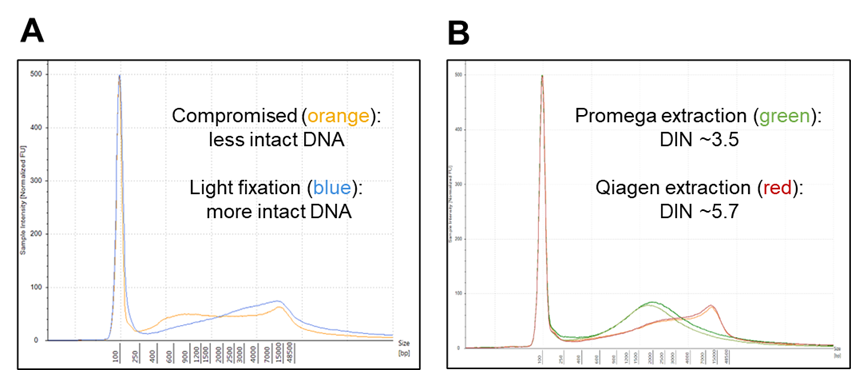 How to get the most from your Seraseq® FFPE Reference Materials