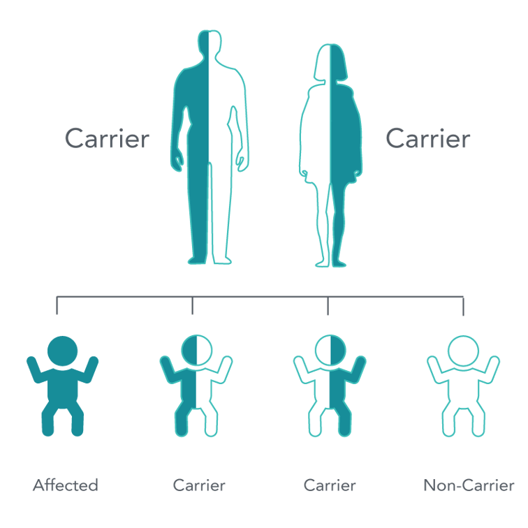Carrier Screening: Uncovering The Hidden Code