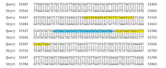 Mpox Virus Changing Genome: Implications for Diagnostics