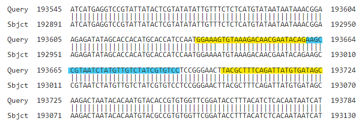 Mpox Virus Changing Genome: Implications for Diagnostics